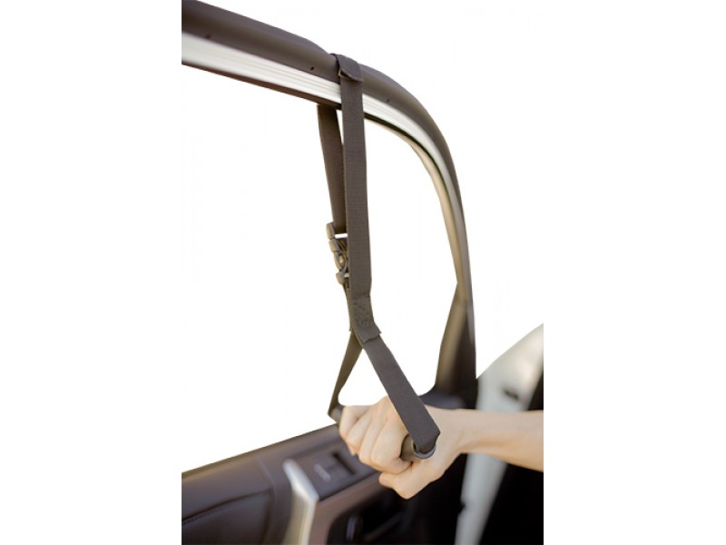Auto Assist Handle – Rehabilitation Equipment Services